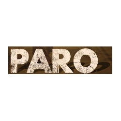 Metta Partners with Paro: The Untold Story of Bridal Slavery to Amplify ...