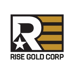 Rise Gold Appoints David Watkinson as President and CEO
