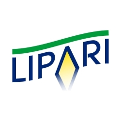 Lipari Mining Reports Financial Year 2025 Diamond Sales, Suspension of ...