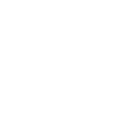 Witzel Trading Rebrands to WR Trading With Mentorship Model